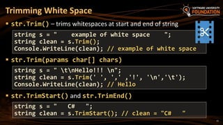 13 Strings and Text Processing | PPT