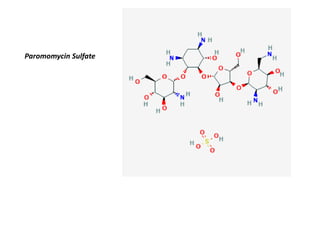 Aminoglycosides (Antibiotics) | PDF