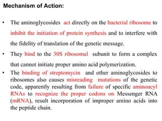 Aminoglycosides (Antibiotics) | PDF
