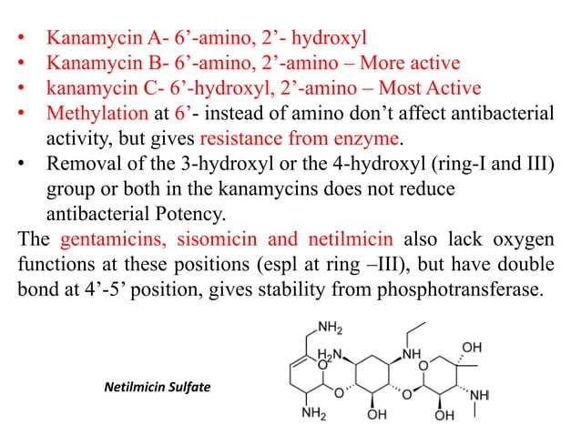 Aminoglycosides (Antibiotics) | PDF | Pharmaceutical Drugs | Medical Health