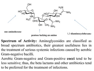 Aminoglycosides (Antibiotics) | PDF