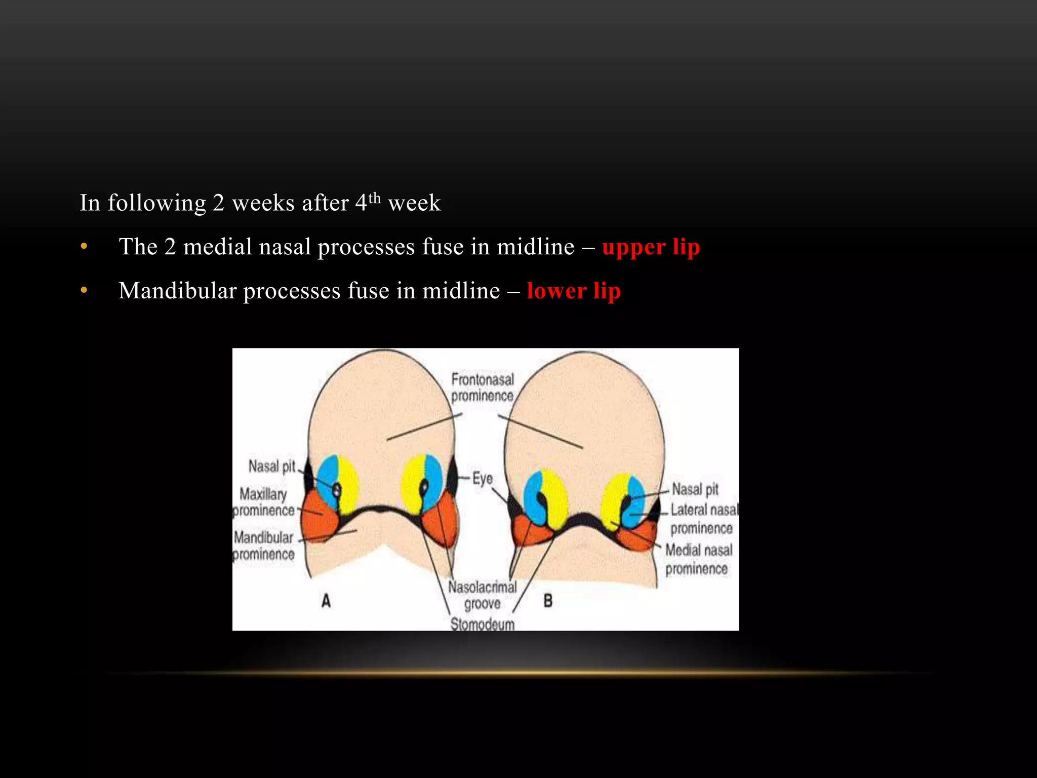 Cleft lip and palate rehabilitation - Dr Prathibha Prasad | PPTX