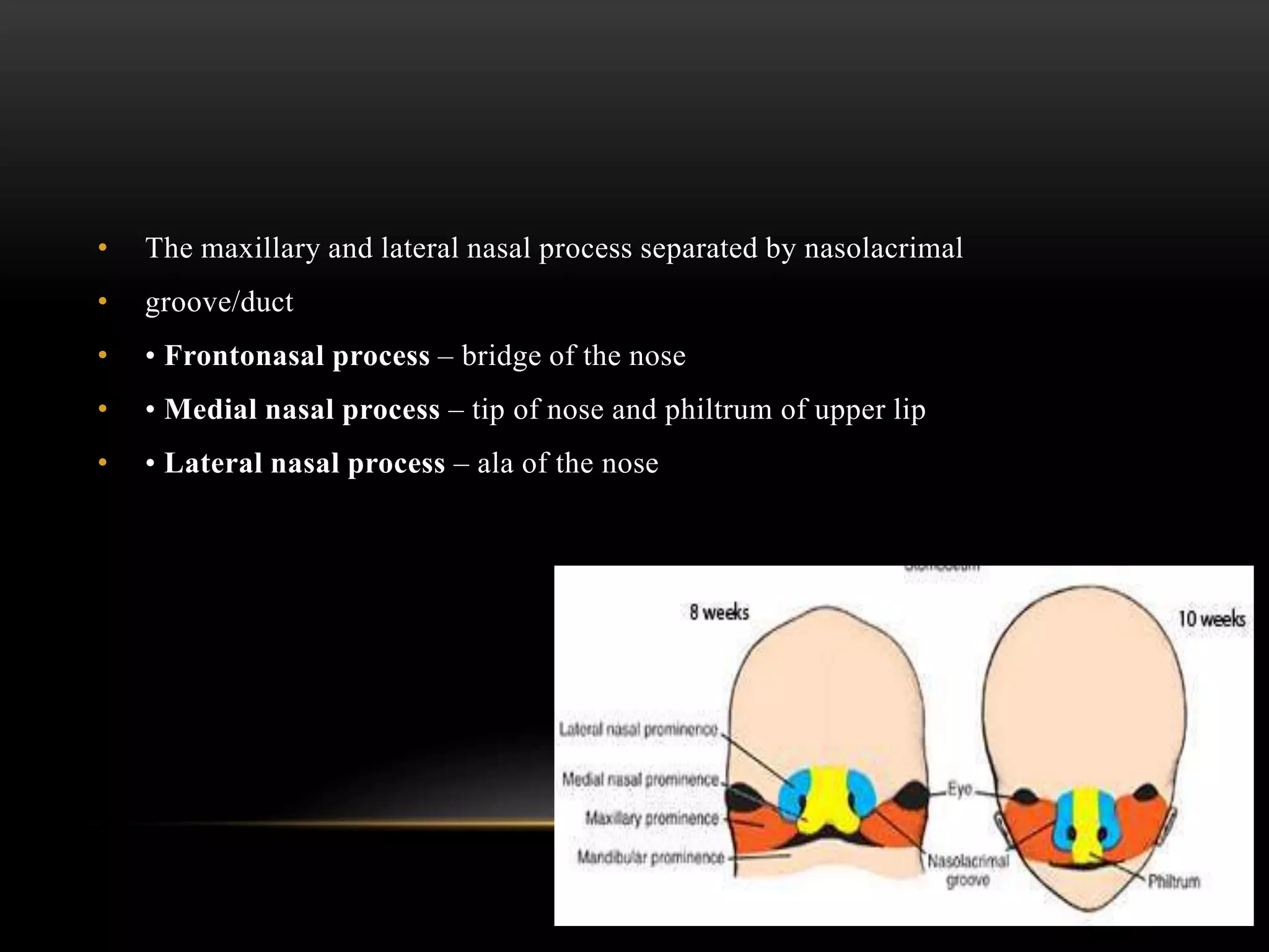 Cleft lip and palate rehabilitation - Dr Prathibha Prasad | PPTX