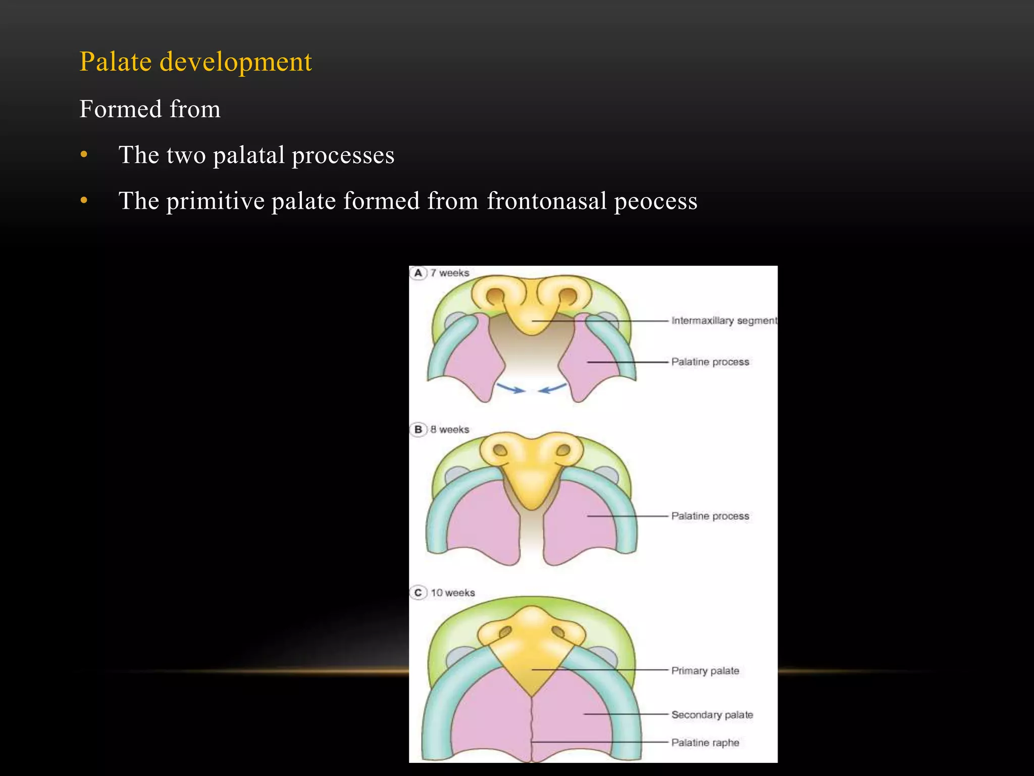 Cleft lip and palate rehabilitation - Dr Prathibha Prasad | PPTX