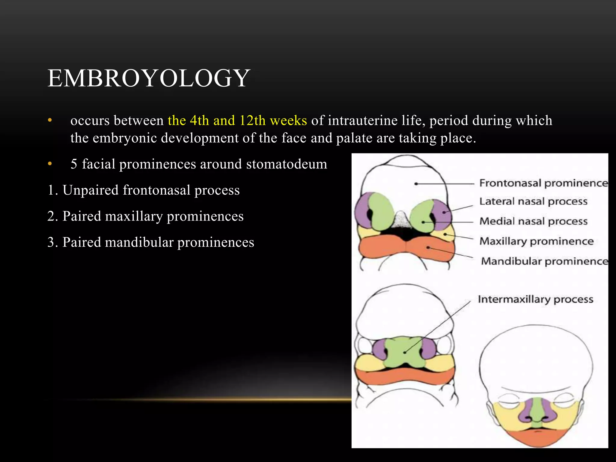 Cleft lip and palate rehabilitation - Dr Prathibha Prasad | PPTX | Pregnancy | Reproductive Health