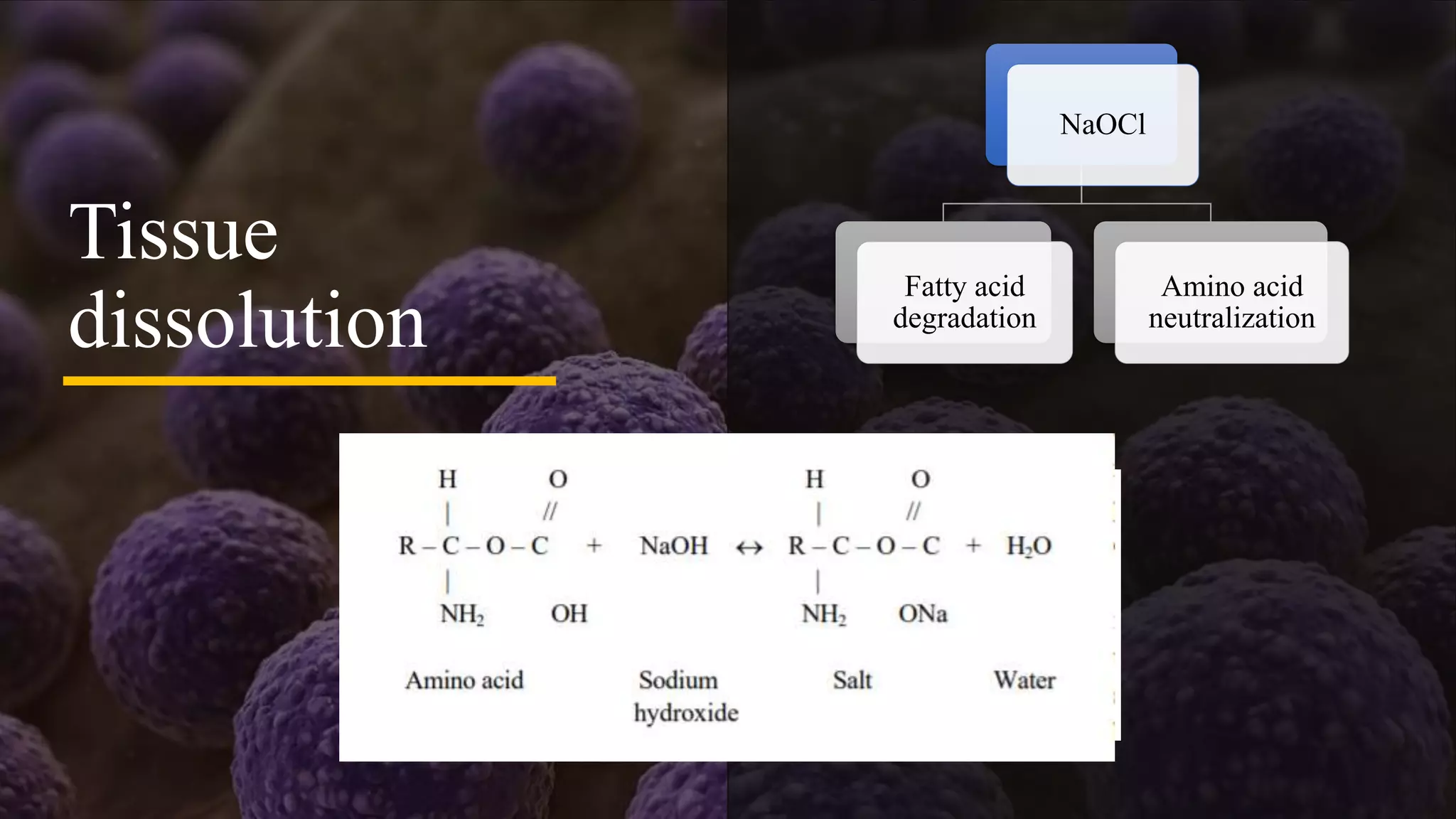 SODIUM HYPOCHLORITE | PPTX