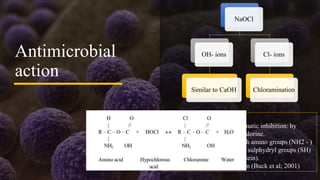 SODIUM HYPOCHLORITE | PPT