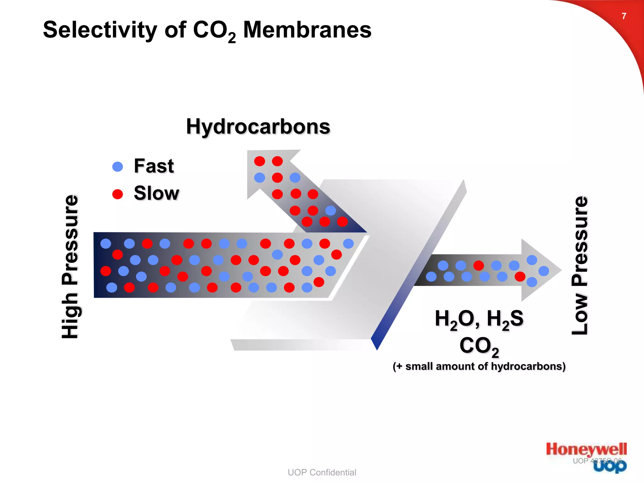 11. membrane unit | PPTX