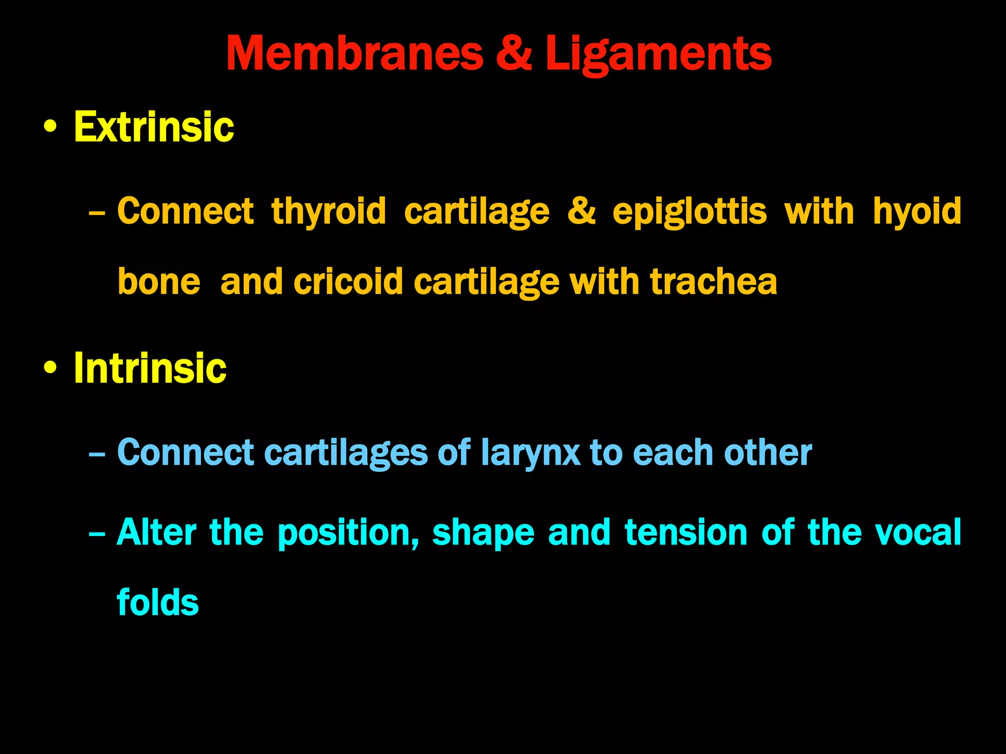 11. anatomy and physiology of larynx | PPT
