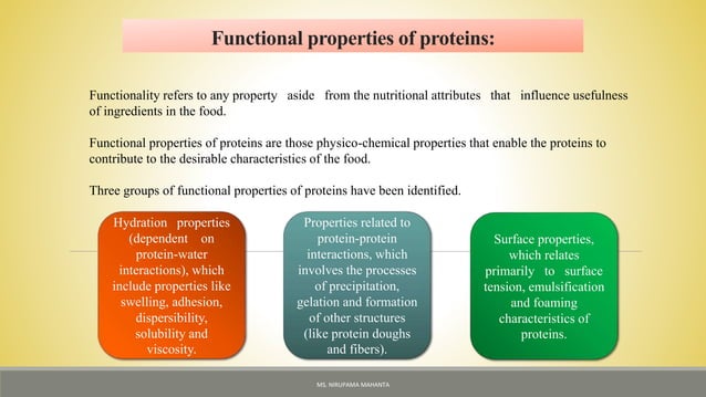 FUNCTIONAL PROPERTIES OF PROTEIN | PPTX | Physics | Science