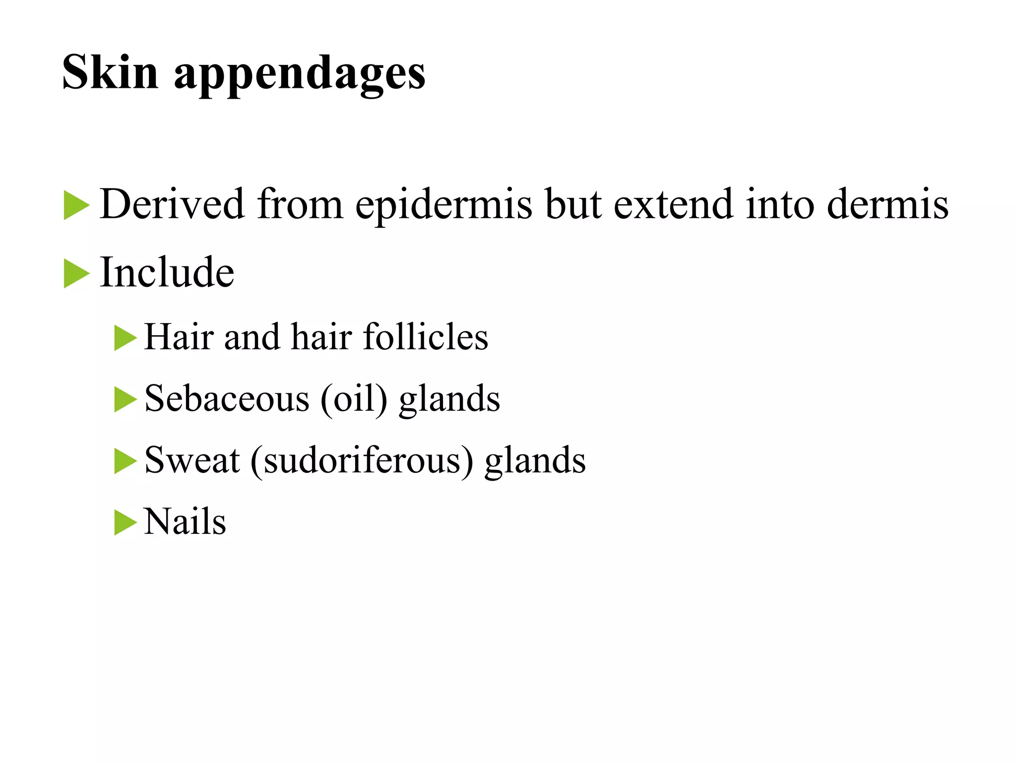 Integumentary Histology | skin |Histology of Skin| Histology of ...