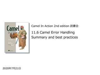 11.6 camel error handling summary | PPT