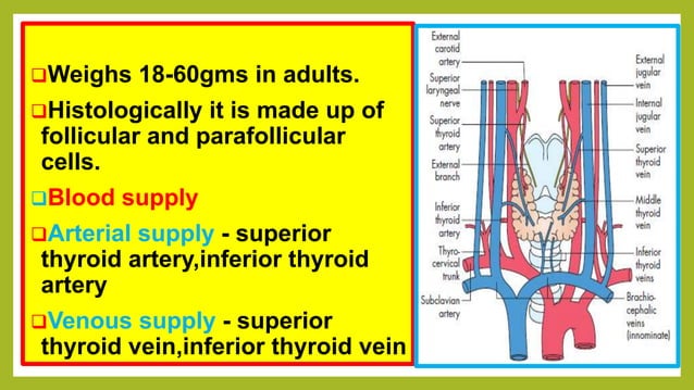 11.hypo and hyperthyroidism ppt | PPTX