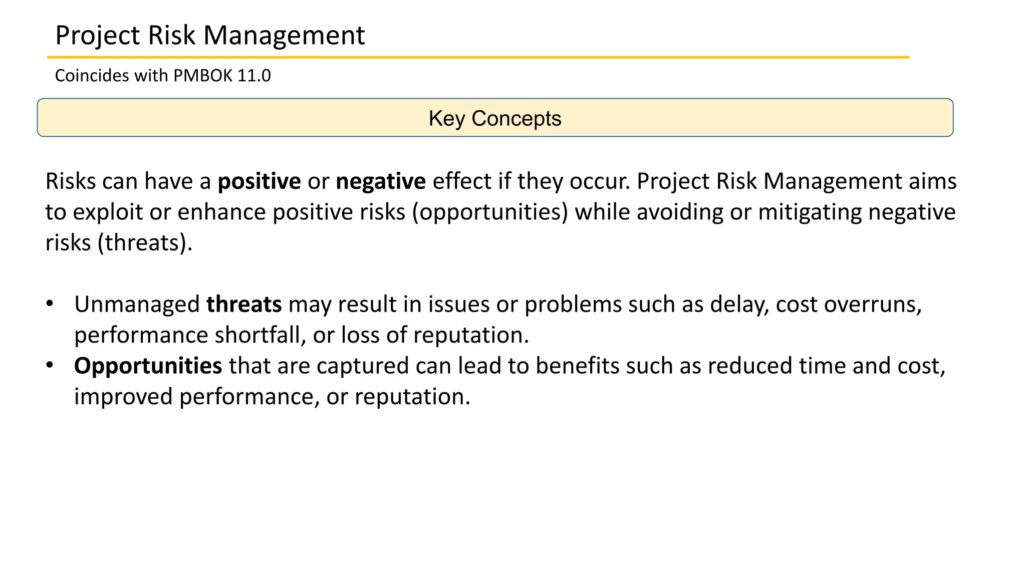 11.0 Project Risk Management Overview | PPTX | Civil Engineering ...