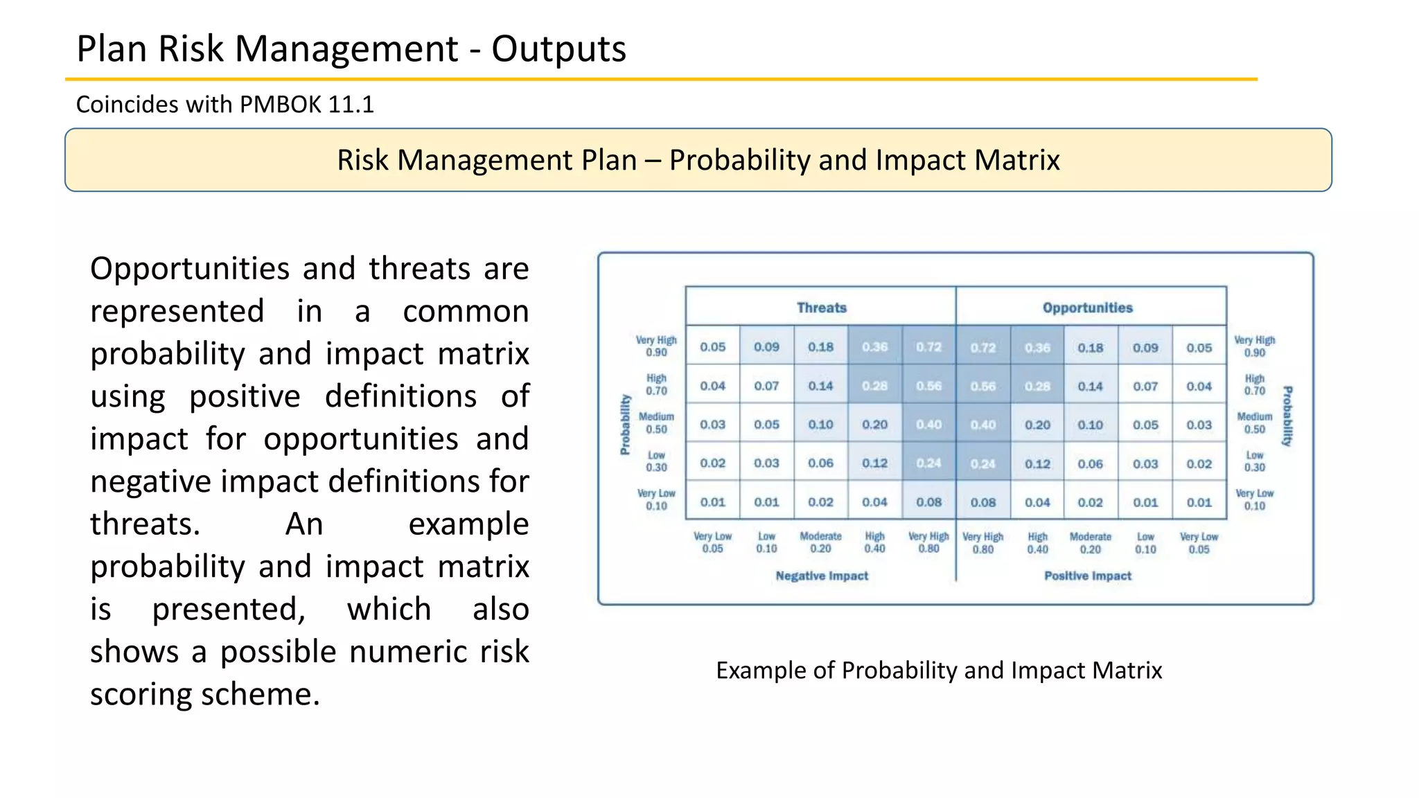11.1 Plan Risk Management | PPT