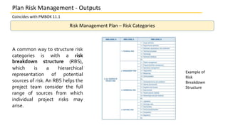 11.1 Plan Risk Management | PPT