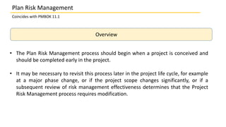 11.1 Plan Risk Management | PPT