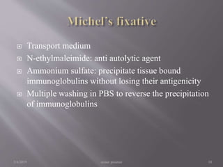 11. light chain immunofluoresence in various nephropathies | PPTX