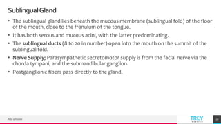 The Palate and Salivary Glands | PPT