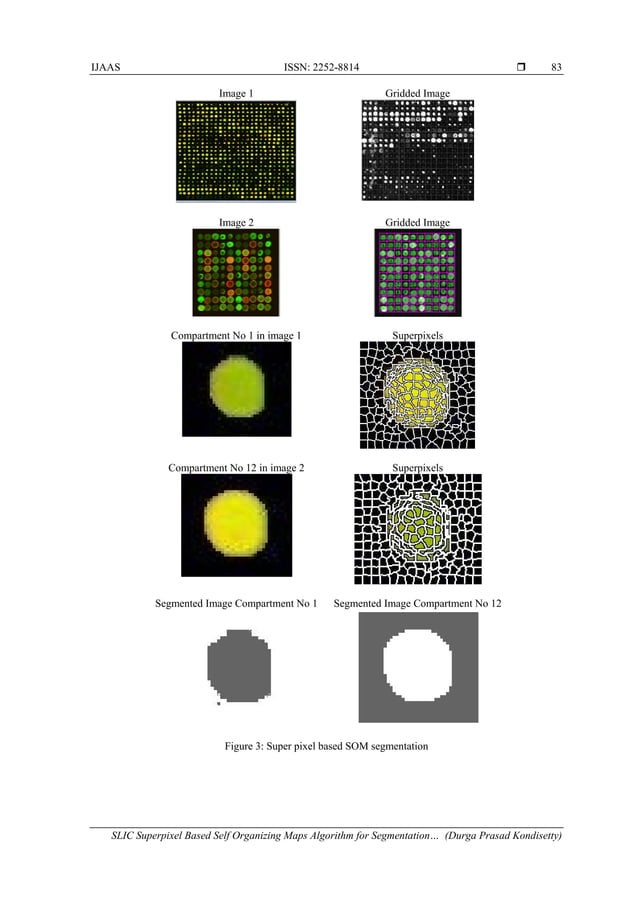 SLIC Superpixel Based Self Organizing Maps Algorithm for Segmentation of Microarray Images | PDF ...