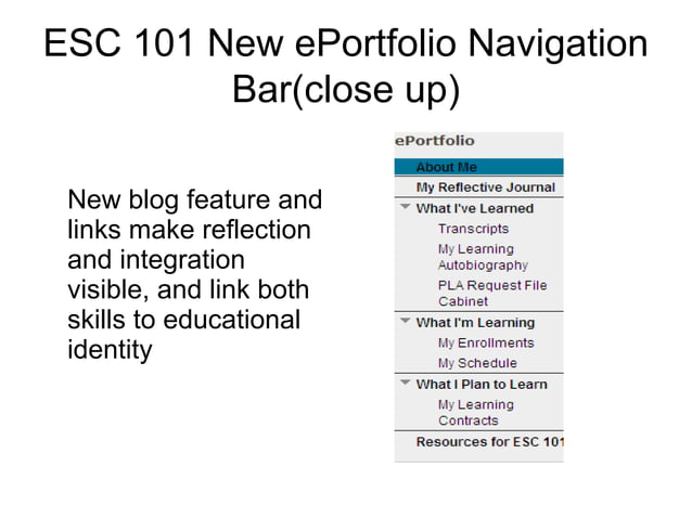 11 2010 portfolio and pla presentation | PPT