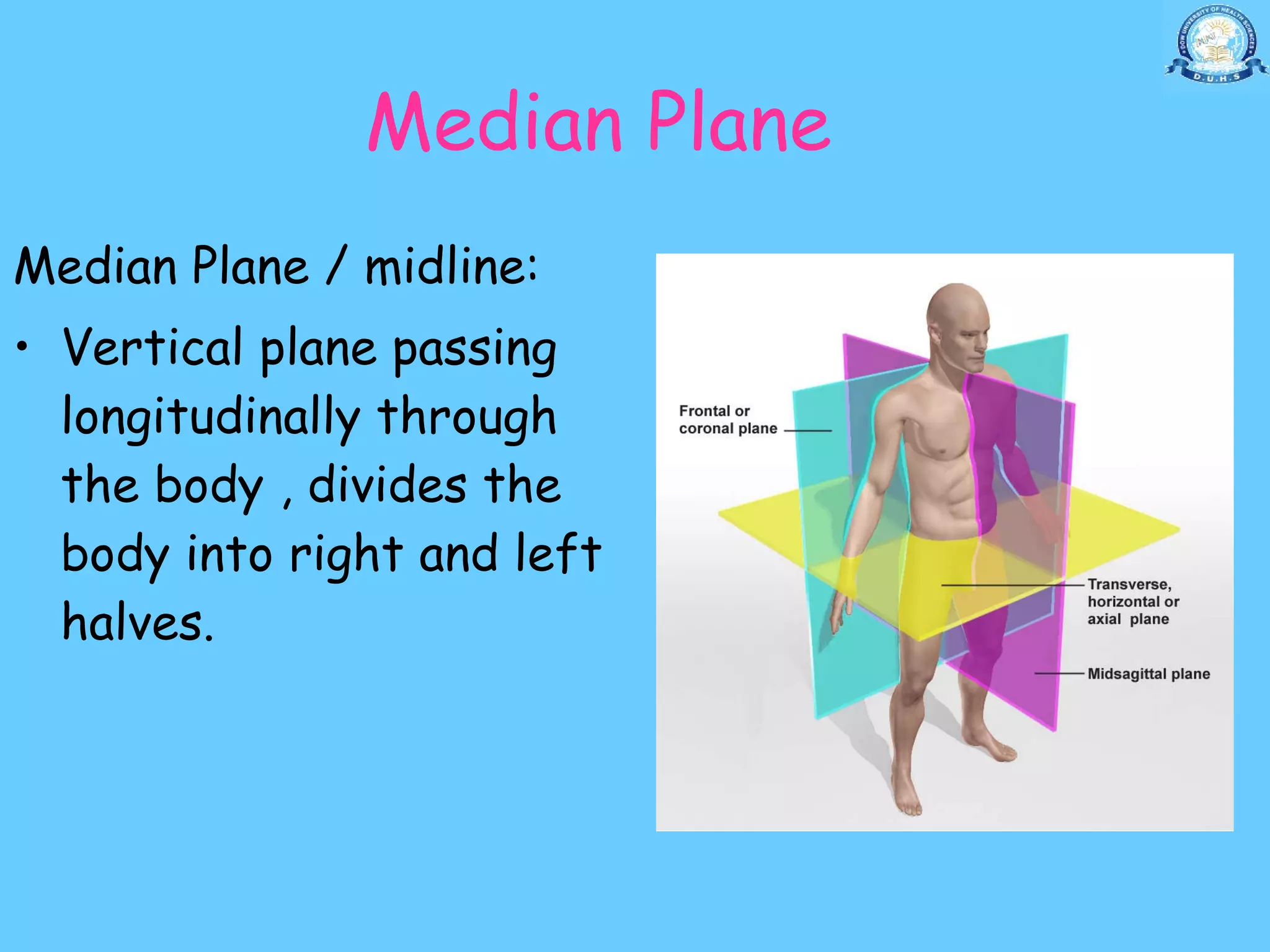 11.20 (dr. nand lal) terminologies anatomical positions anatomical ...