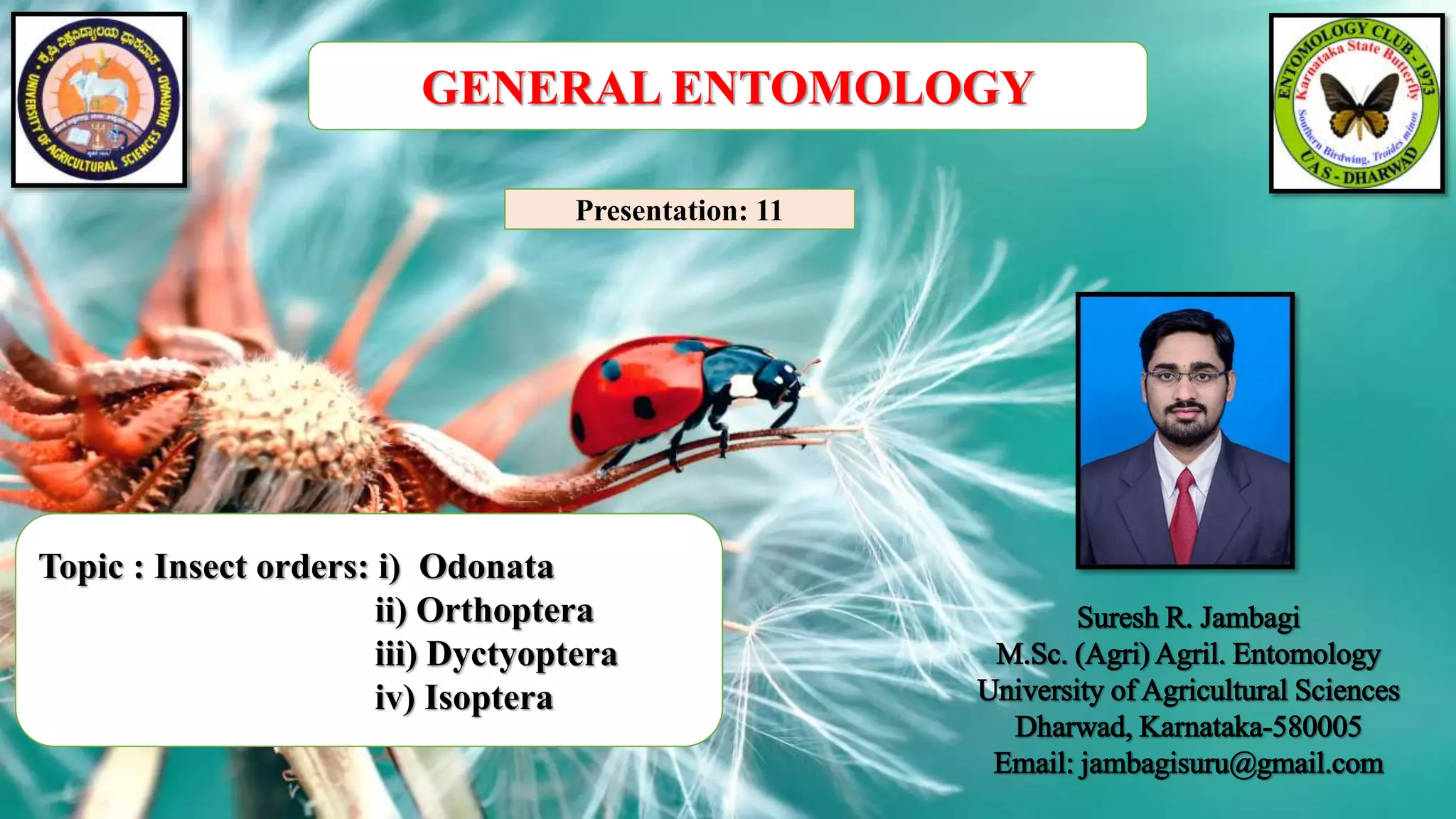 Insect Orders- Odonata, orthoptera, dictyoptera and isoptera | PPTX