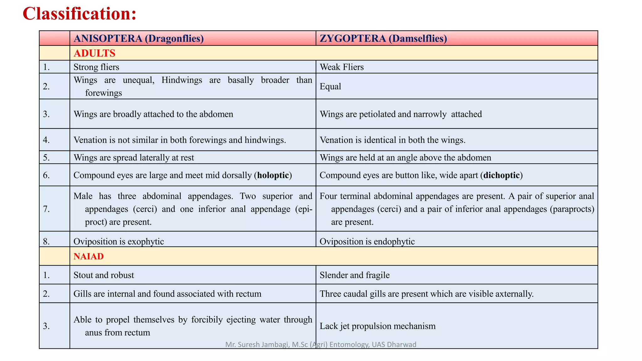 Insect Orders- Odonata, orthoptera, dictyoptera and isoptera | PPTX