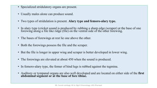 Insect Orders- Odonata, orthoptera, dictyoptera and isoptera | PPTX