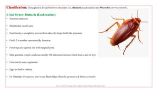 Insect Orders- Odonata, orthoptera, dictyoptera and isoptera | PPTX