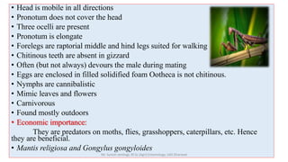 Insect Orders- Odonata, orthoptera, dictyoptera and isoptera | PPTX