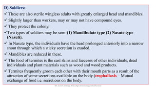 Insect Orders- Odonata, orthoptera, dictyoptera and isoptera | PPTX