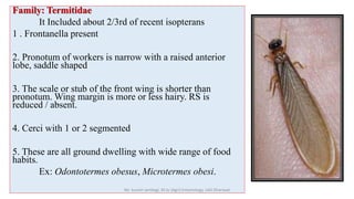 Insect Orders- Odonata, orthoptera, dictyoptera and isoptera | PPTX