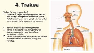 11. sistem pernapasan manusia g8 | PPT
