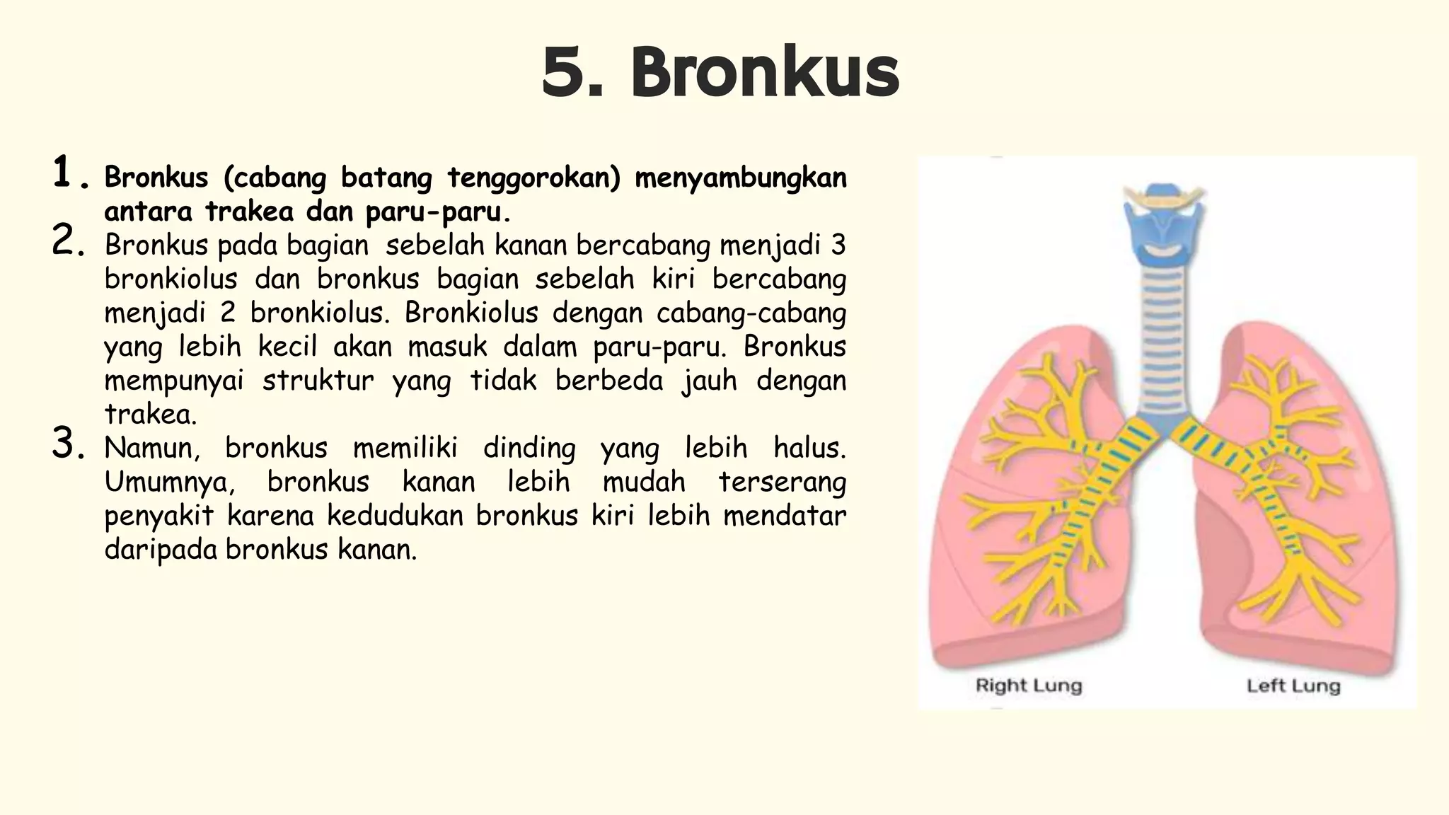 11. sistem pernapasan manusia g8 | PPTX