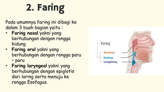11. sistem pernapasan manusia g8 | PPT
