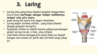 11. sistem pernapasan manusia g8 | PPT