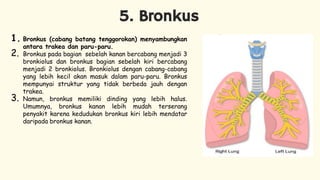11. sistem pernapasan manusia g8 | PPT