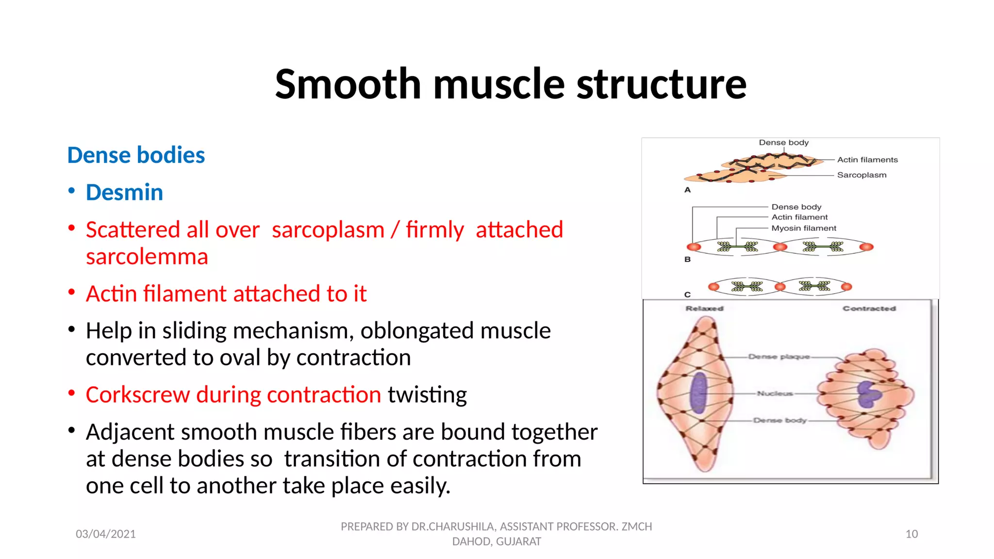 Smooth muscle structure, Smooth muscle potential ,Excitation ...