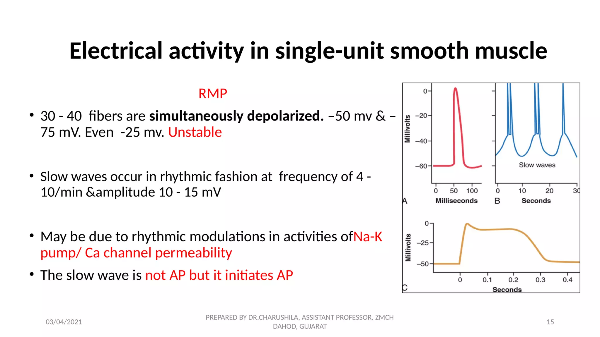 Smooth muscle structure, Smooth muscle potential ,Excitation ...