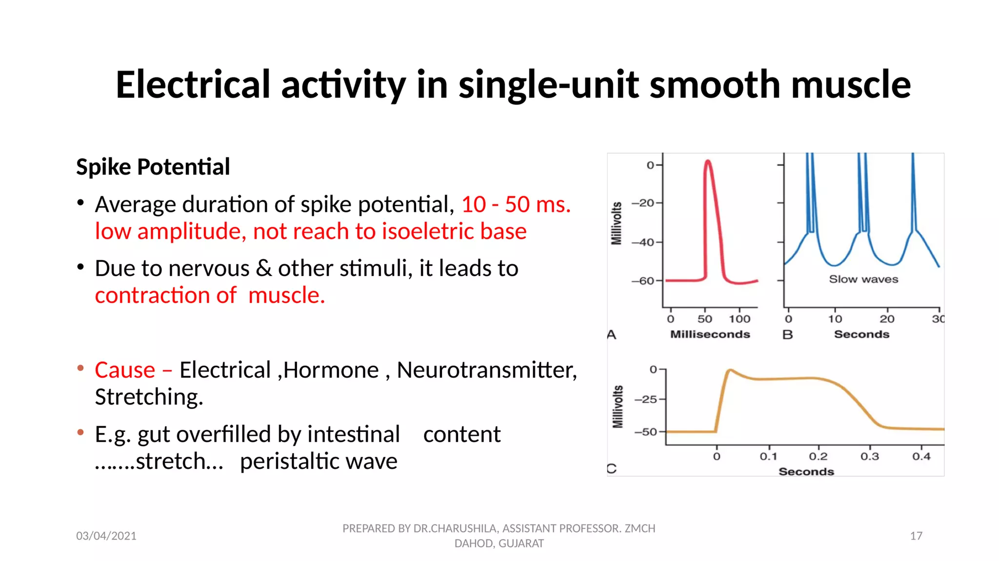 Smooth muscle structure, Smooth muscle potential ,Excitation ...
