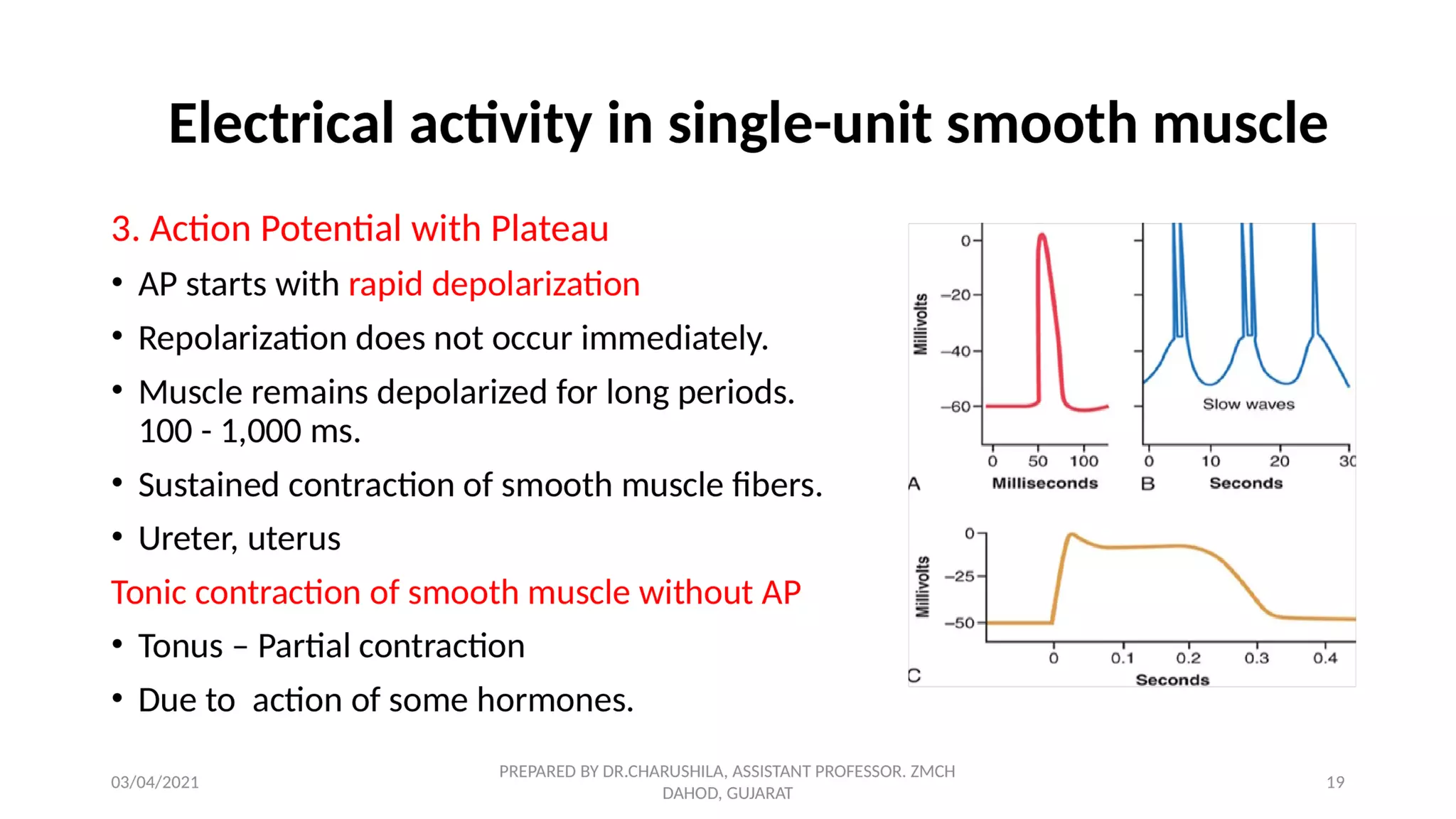 Smooth muscle structure, Smooth muscle potential ,Excitation ...