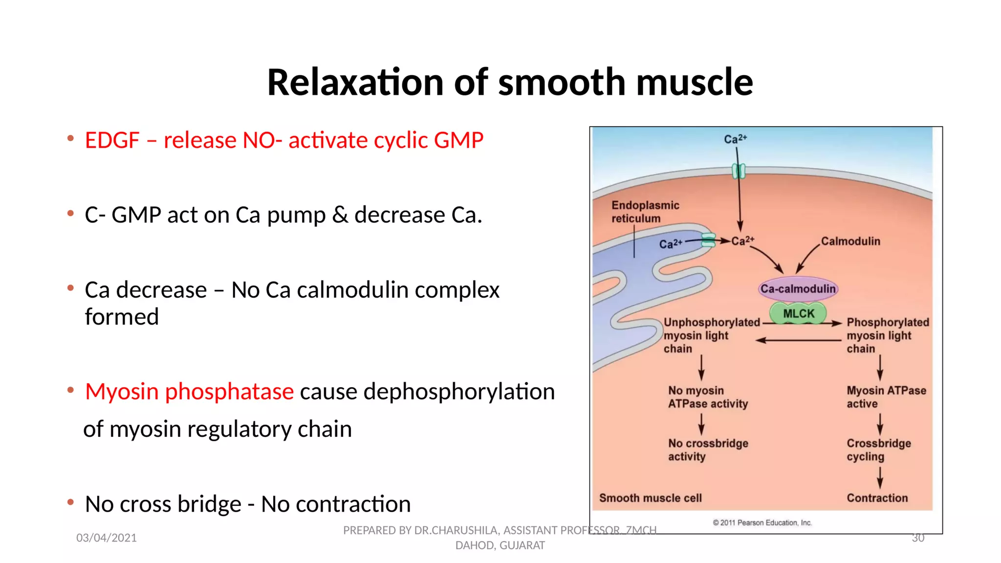 Smooth muscle structure, Smooth muscle potential ,Excitation ...