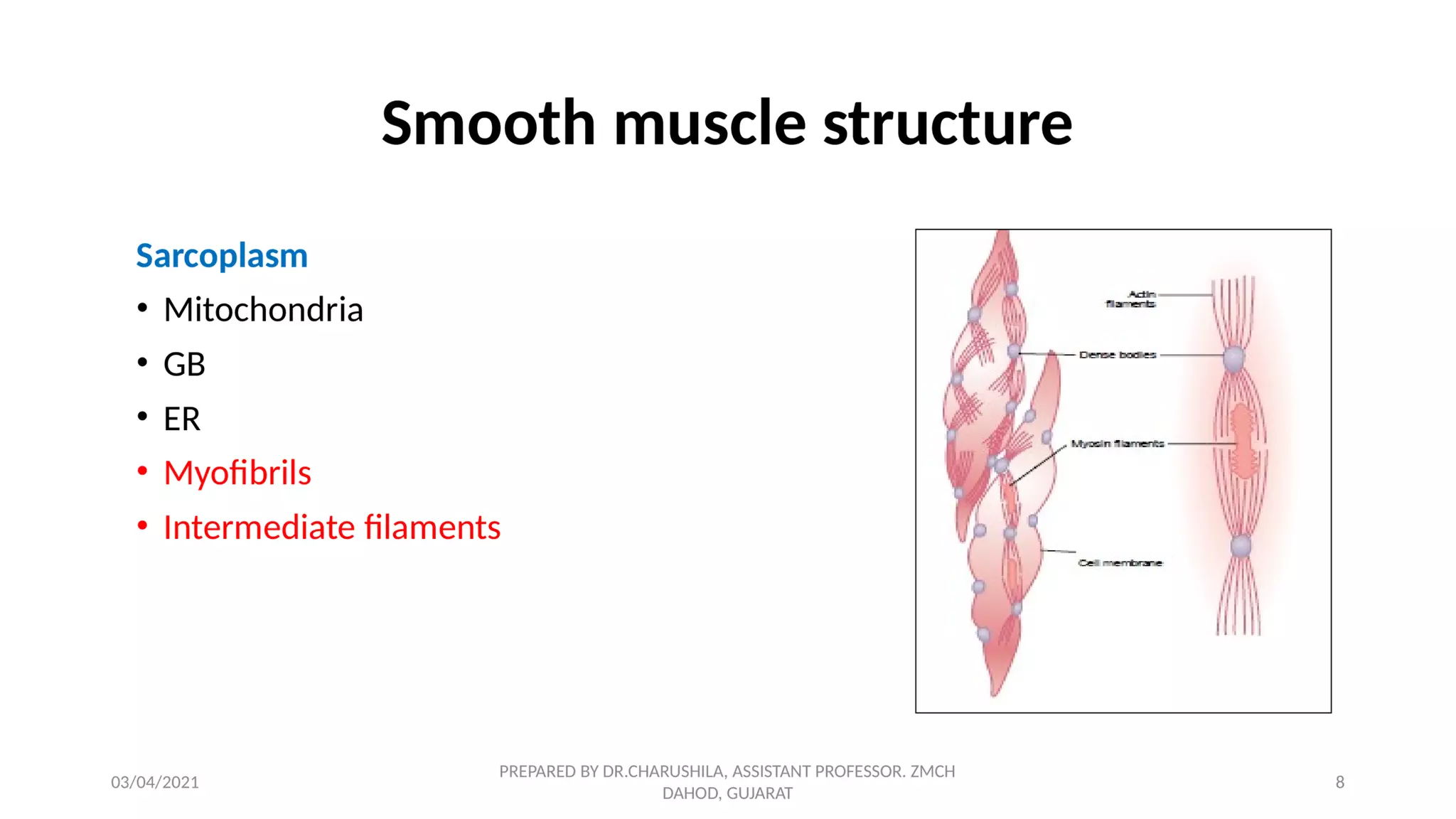 Smooth muscle structure, Smooth muscle potential ,Excitation ...