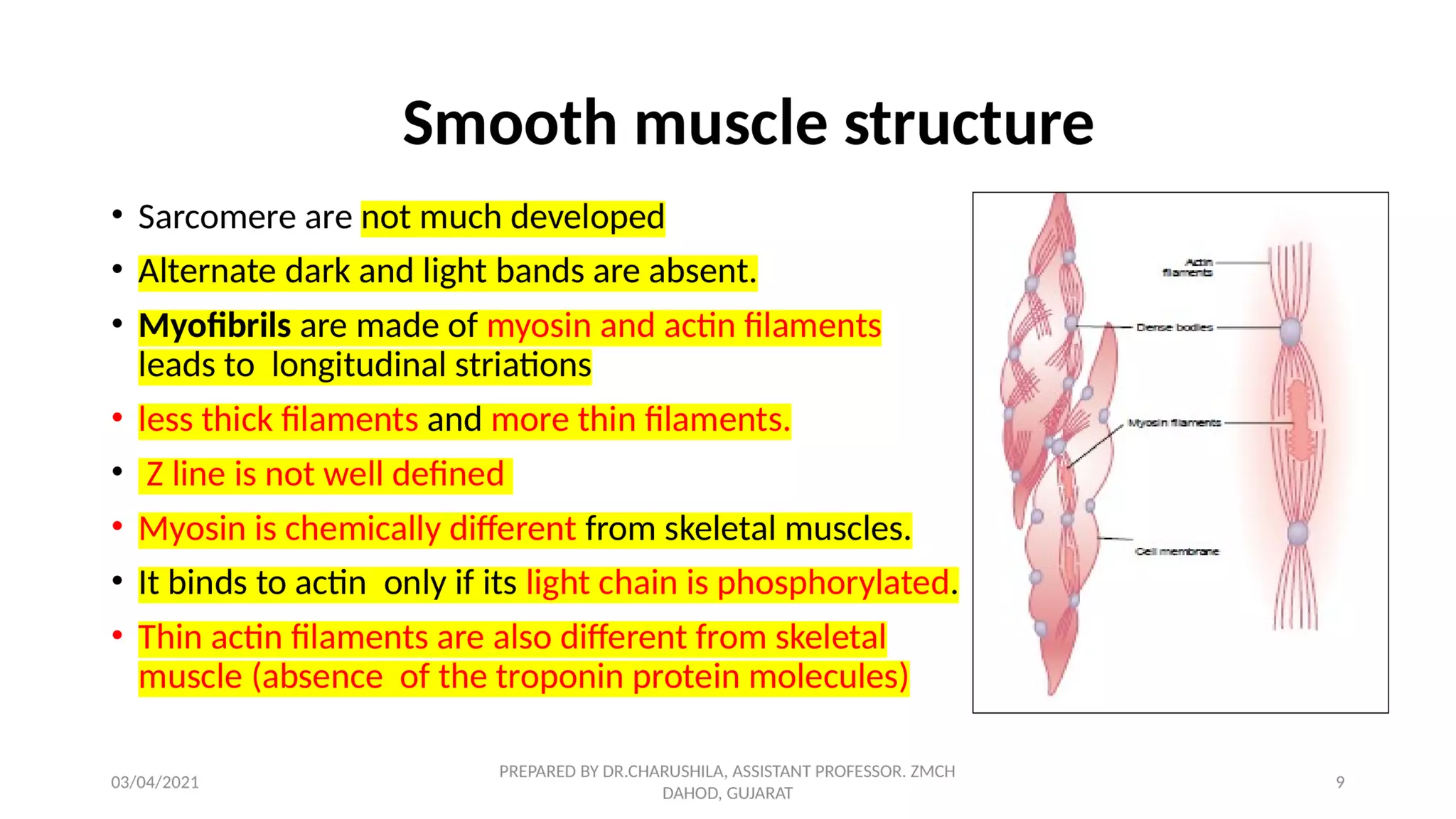 Smooth muscle structure, Smooth muscle potential ,Excitation contraction coupling in smooth ...