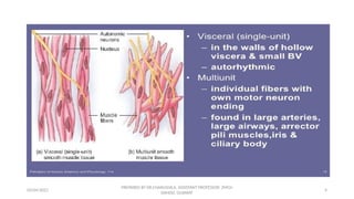 Smooth muscle structure, Smooth muscle potential ,Excitation ...
