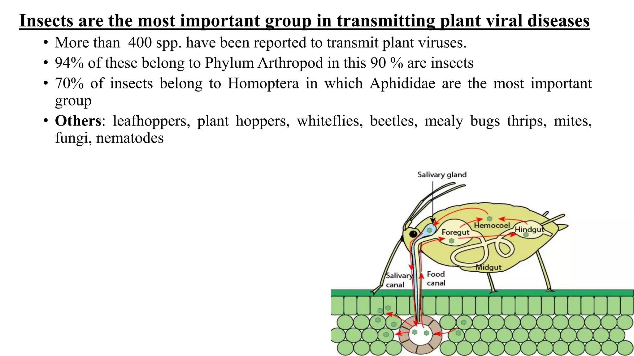 Methods of transmission of plant viruses | PDF