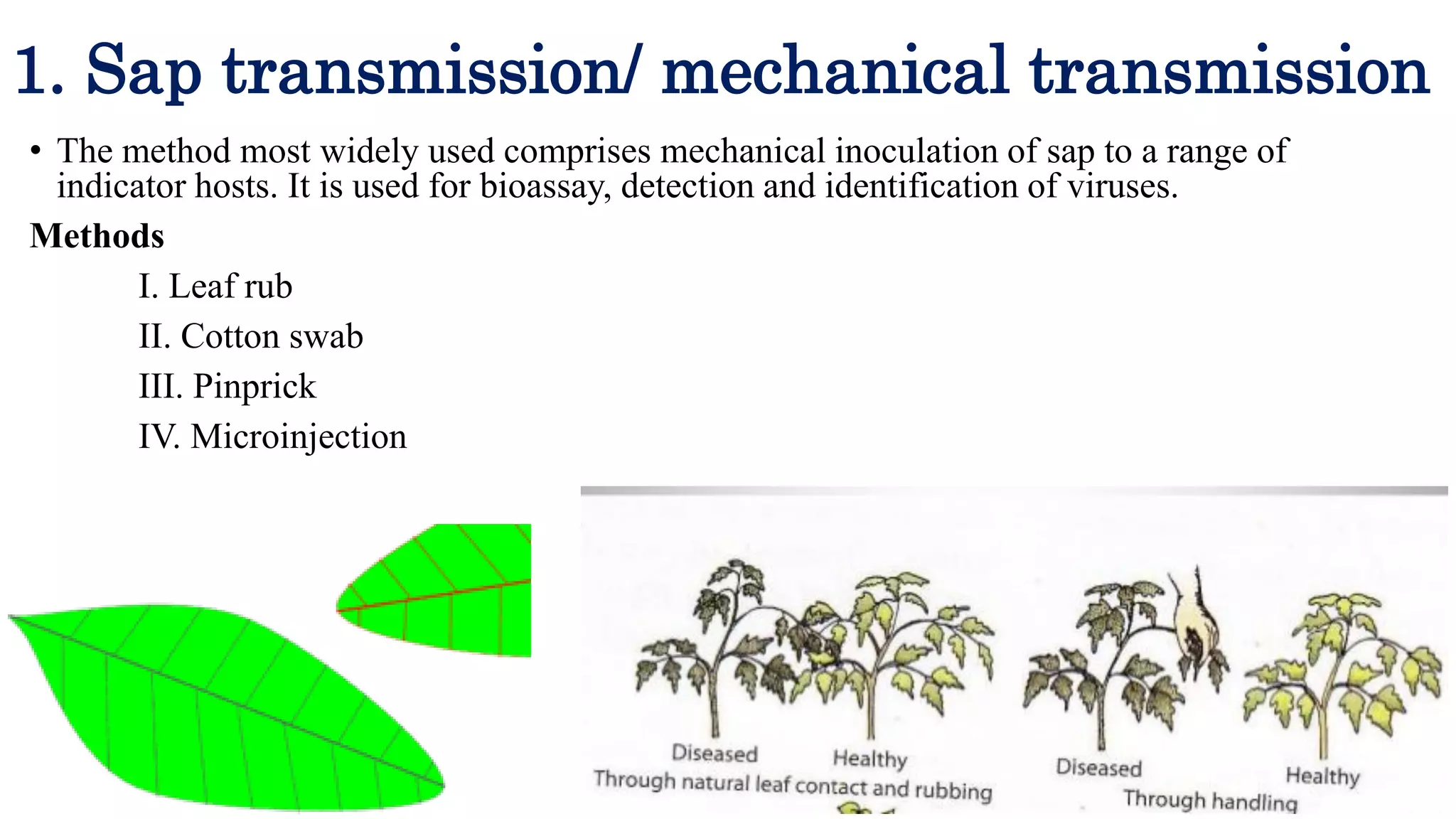 Methods of transmission of plant viruses | PDF