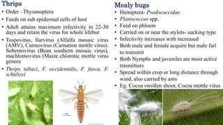 Methods of transmission of plant viruses | PDF | Gardening | Home & Garden