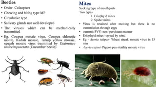 Methods of transmission of plant viruses | PDF | Gardening | Home & Garden